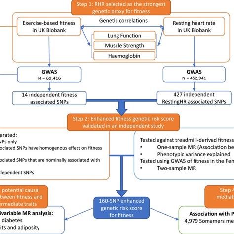 Tissue And Cell Type Specific Enrichment Analysis For Cardiorespiratory