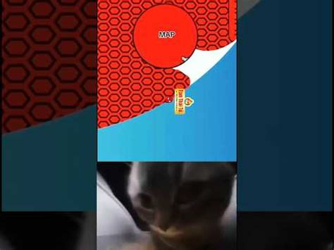 Paper Io2 Chipi Chipi Chapa Chapa MAP CAT Paperio Paperio2 Grizix Com