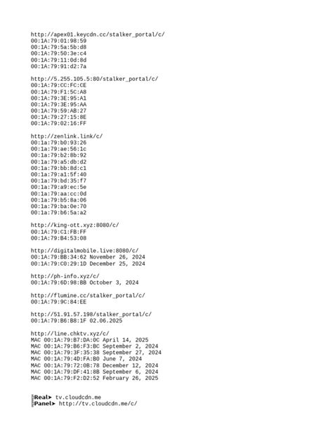 free stbemu daily activation codes 23082024 pdf