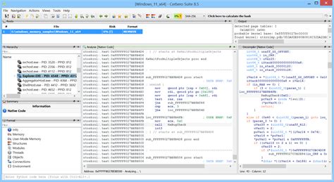 Memory Analysis Cerbero Labs