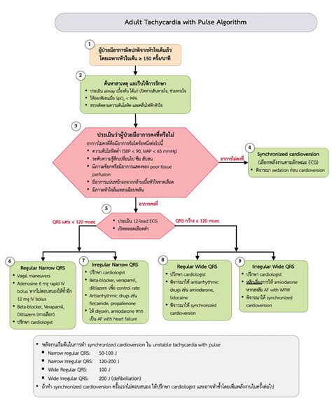 Flow Chart Cpr มูลนิธิเพอร์เฟคไลฟ์ Facebook