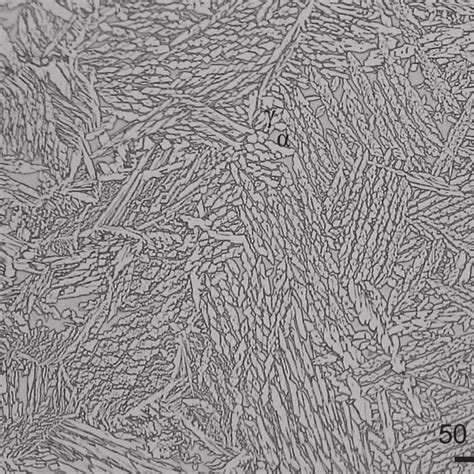 Microstructure Of The Fabricated Multi Pass Weld Metal Download