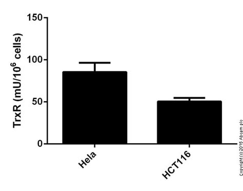 Antibodies Proteins Kits And Reagents For Life Science Abcam