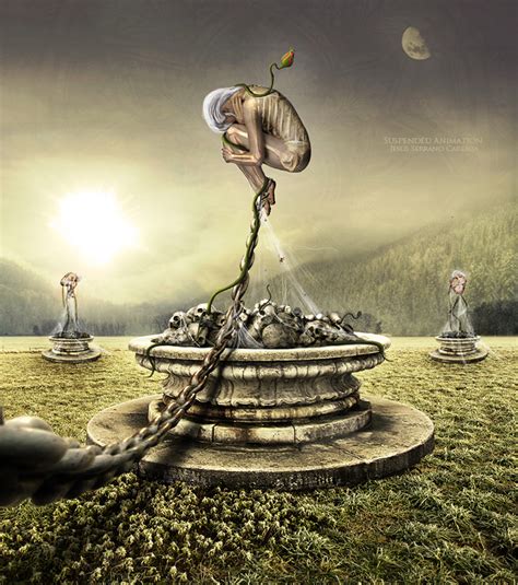 Exams And Me Suspended Animation
