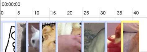 Javascript How To Use Timeline Item Add Content Field To Use A