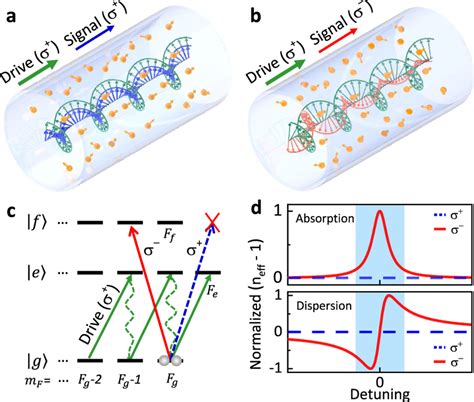 Schematic Of Circular Birefringence And Circular Dichroism Arising From