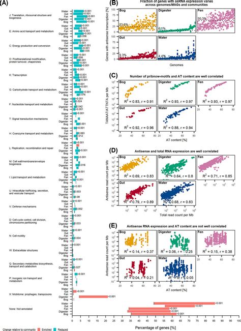 Antisense Transcription Is Not Function Specific And May Be Driven By