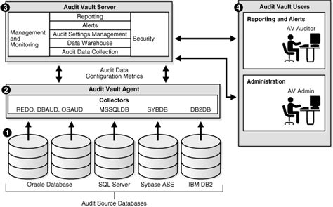 Introducing Oracle Audit Vault For Administrators