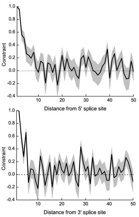 Evolutionary Constraint Plotted Against Distance From The Splice Sites Download Scientific