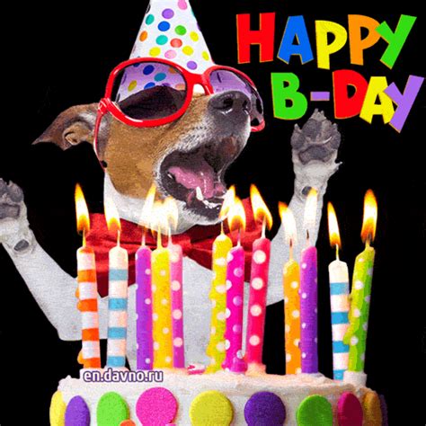 Free Happy Birthday Animated  Images And Animations 100 Free