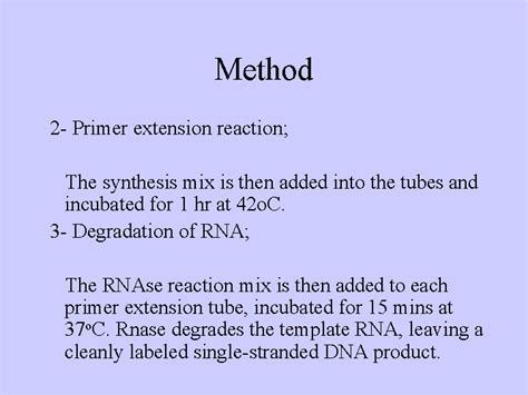 Primer Extension And Nuclease S 1 Mapping Biochemistry