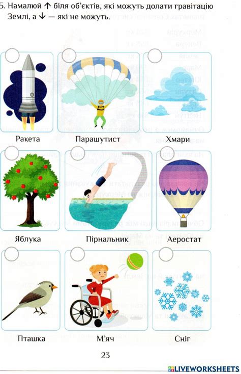 ЯДС Робочий зошит с 23 24 Valeri M Live Worksheets