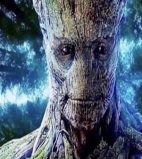 I Am Groot Image Gallery Know Your Meme