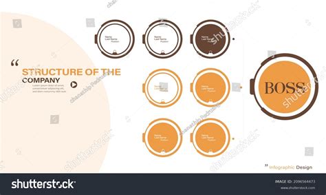 Structure Company Business Hierarchy Organogram Chart Stock Vector Royalty Free