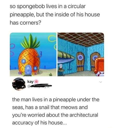 So Spongebob Lives In A Circular Pineapple But The Inside Of His House Has Corners The Man