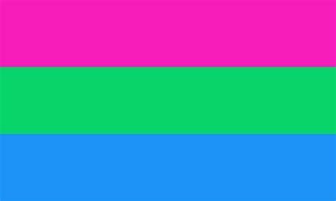 File Poly Png Nonbinary Wiki