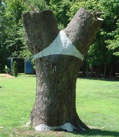 Tree Bikini MyConfinedSpace