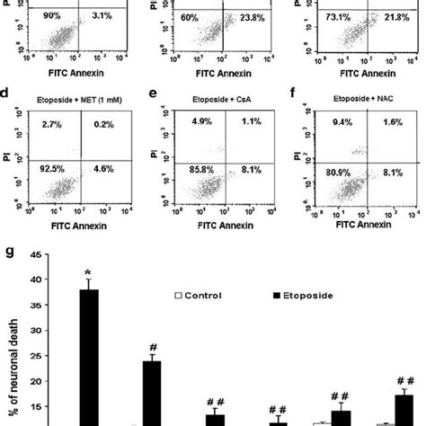 Effects Of Metformin Csa And Nac On Etoposide Induced Neuronal Death Download Scientific