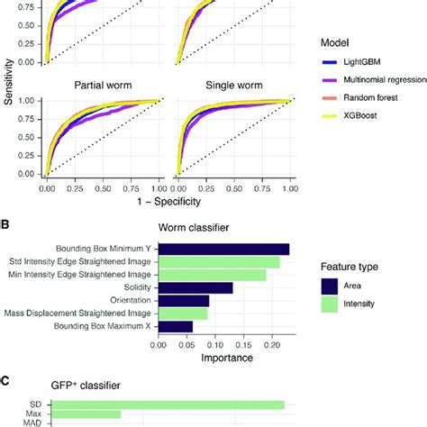Statistical Models Used To Classify And Filter Straightened C Elegans