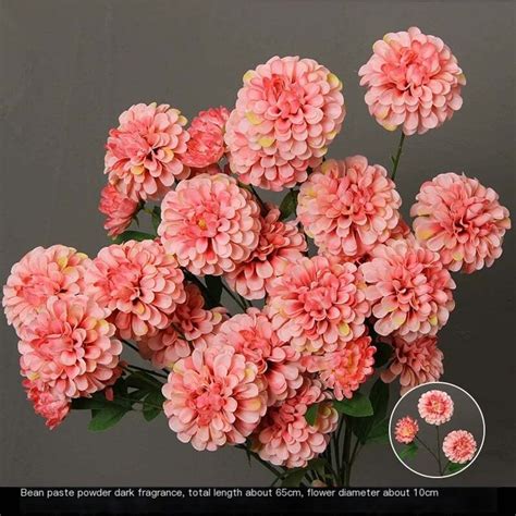 Bean Paste Powder Secret Fragrance10 Pack Party Galore Events