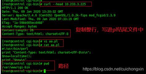 apache的基本配置和动态页面配置 apache服务器支持动态网页 csdn博客