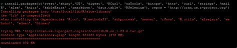 Bash Starting Container Process Caused ”exec ”r” Executable