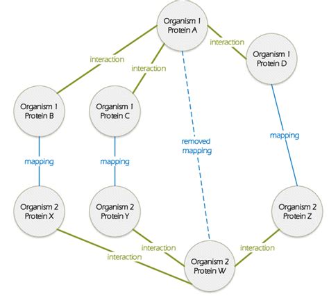 Removed Mapping Effecting Topological Similarity The Removed Mapping