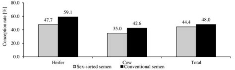 Conception Rate Of Sex Sorted And Conventional Semen In Cows And Download Scientific