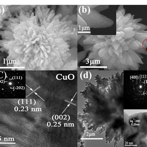 Scanning Electron Microscope Sem Selected Area Electron Diffraction