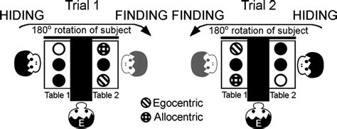Experiment 2 Experimental Setup In Two Consecutive Example Trials Six