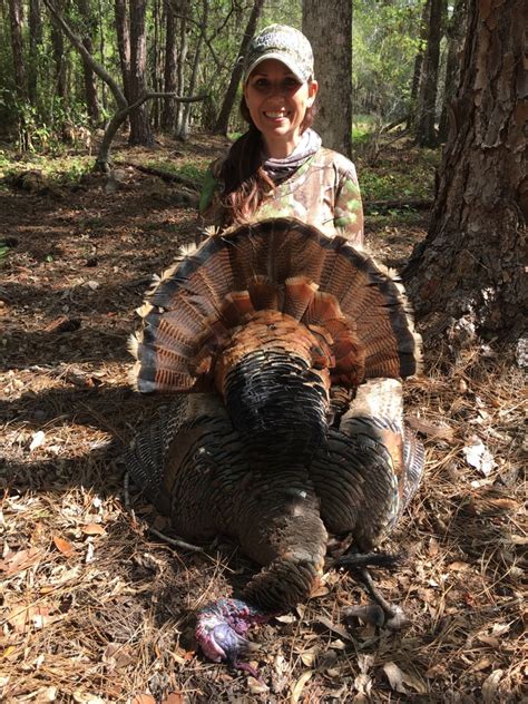 Florida Turkey Hunting Outfitters Osceola Turkey Hunts — Everglades