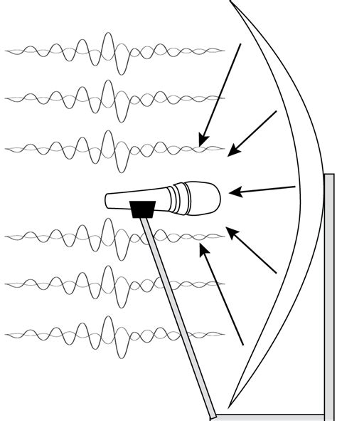 The Ps and Qs of Parabolic Microphones | B&H eXplora