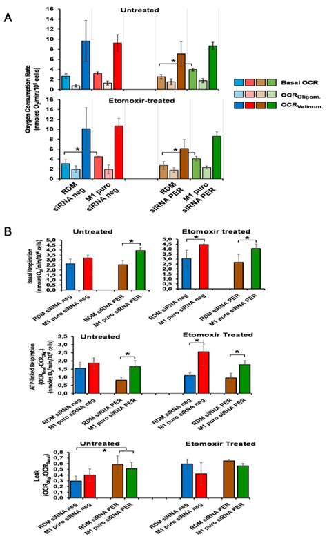 The Histone Variant Macroh2a1 Impacts Circadian Gene Expression And Cell Phenotype In An In