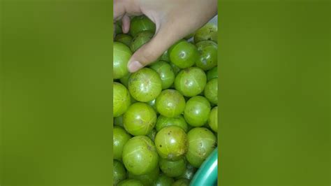 Aawla 🍈😋 Youtube