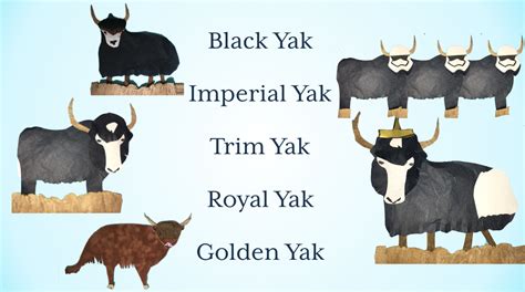 A Taxonomy Of Yak Shaving Yak Shaving Is Doing… By Jessica Kerr