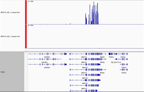 RNA-seq command line analysis