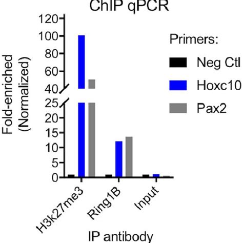 Polycomb Complexes Silence Gene Transcription Via Chromatin Structure