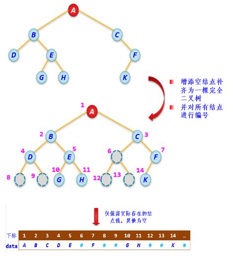 头歌 数据结构 实验七 二叉树的建立及应用数据结构 树和二叉树及其应用头歌 Csdn博客
