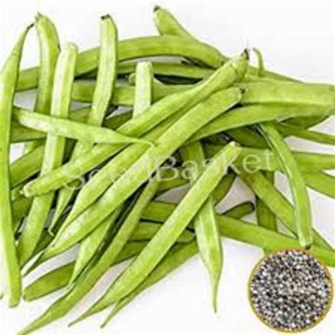 Hybrid Cluster Bean Seed Green Pod At ₹ 300kg In Madurai Id