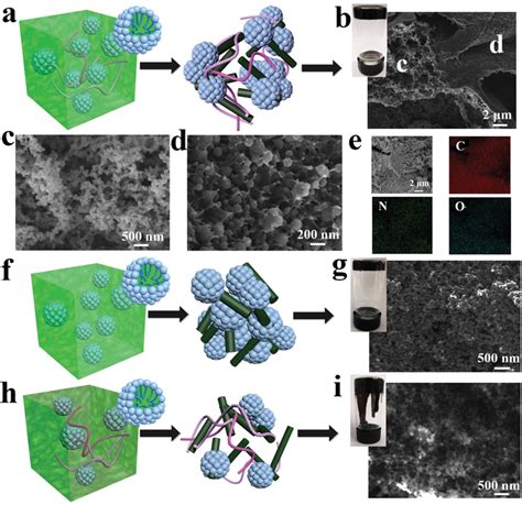 The Biphase Microstructure Of Ppy Hydrogels A Schematic Illustration Download Scientific