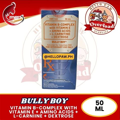 Bully Boy 50ml Vitamin B Complex Mad Science Shopee Philippines