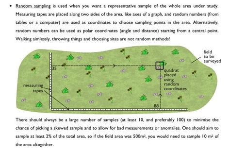 Random Sampling With Quadrats In Biology Units
