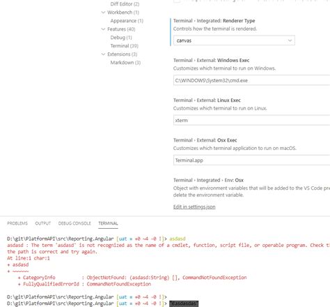 Canvas And Experimental Opengl Terminal Renderer Strange Rendering Of 0