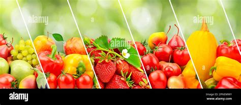 Different Fruits And Vegetables Separated Sloping Lines On Green