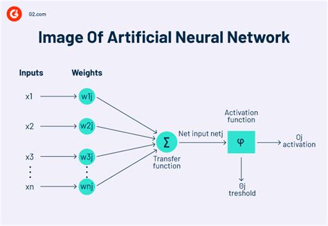 Why Is The Activation Function Important For Neural Networks
