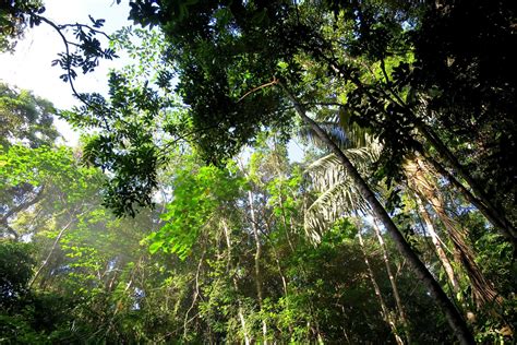 New Filipino Law Would Require Babes To Plant At Least 10 Trees Before They Can Graduate