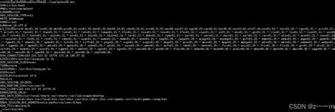 Linux环境变量 Csdn博客