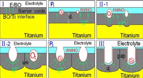 Schematic Diagrams Showing Three Stages I Ii Iii Of Pore Generation