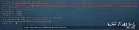【抄作业】如何优雅的更新 Docker 容器？使用watchtower让docker容器实现自动更新 知乎