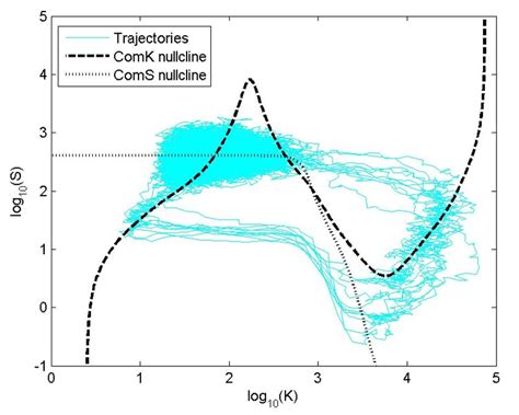Trajectories Generated By The 2d Stochastic Model Given By Iii1 With